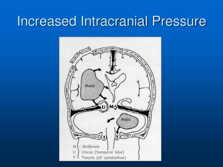 PPT - Neurological Emergencies PowerPoint Presentation - ID:3493684