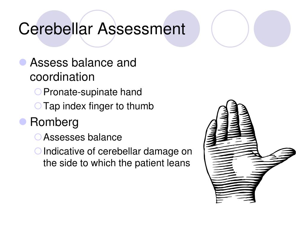 Ppt Neurological Assessment Powerpoint Presentation Free Download