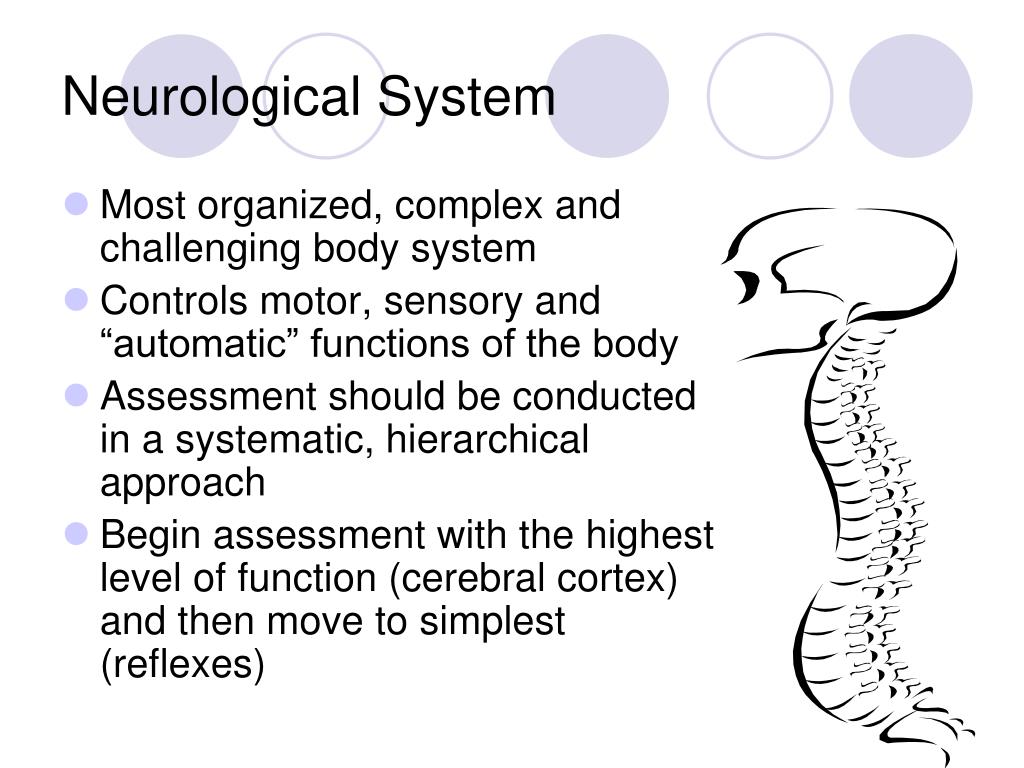 Ppt Neurological Assessment Powerpoint Presentation Free Download