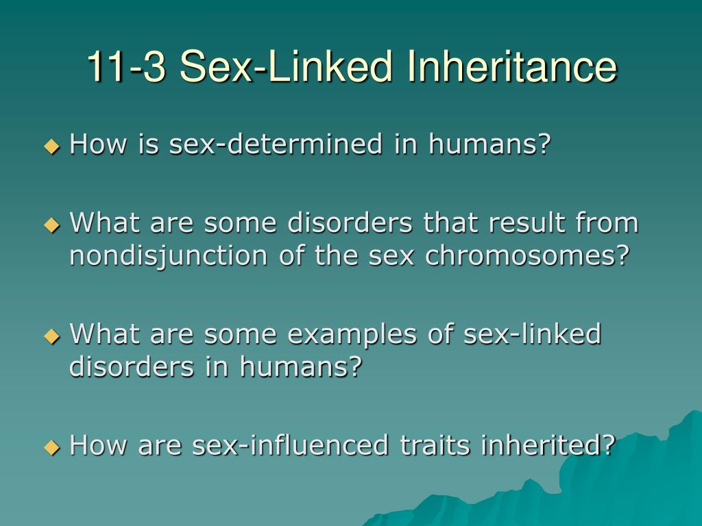 Ppt Chapter 11 Powerpoint Presentation Free Download Id 3494699
