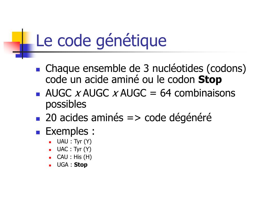 PPT - Banques et bases de données en biologie moléculaire : de la donnée à la structure ...