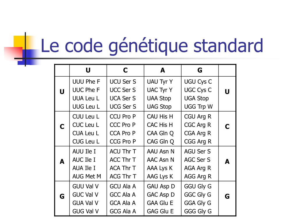 PPT - Banques et bases de données en biologie moléculaire : de la donnée à la structure ...