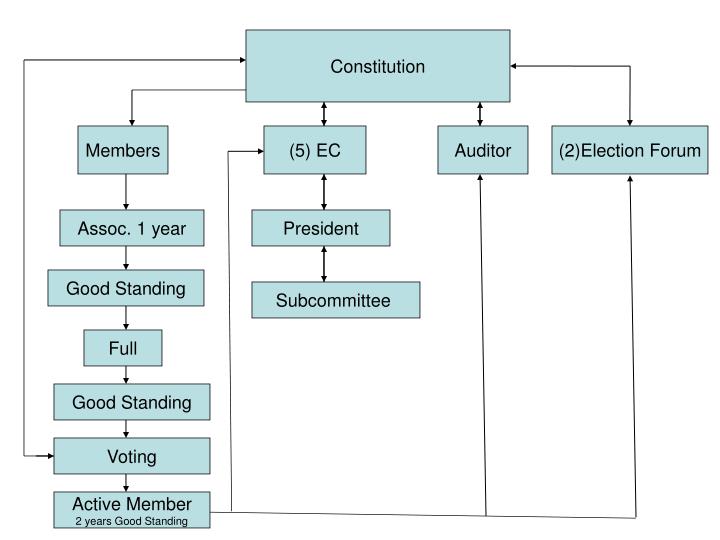 PPT - Constitution PowerPoint Presentation, free download - ID:3495070