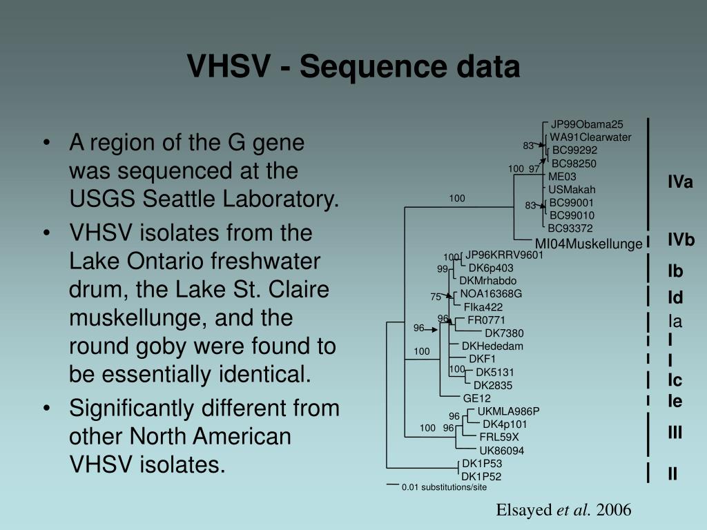 PPT - Viral Hemorrhagic Septicemia – The Virus, the Disease and the ...