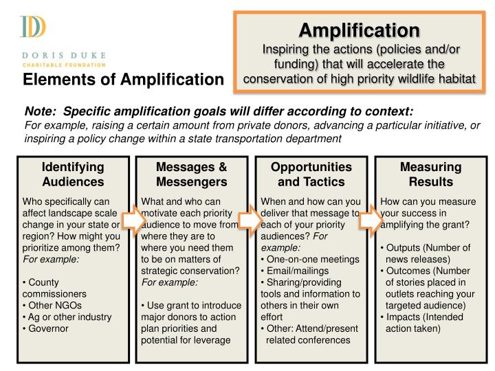 PPT - Amplification PowerPoint Presentation, free download - ID:3495287