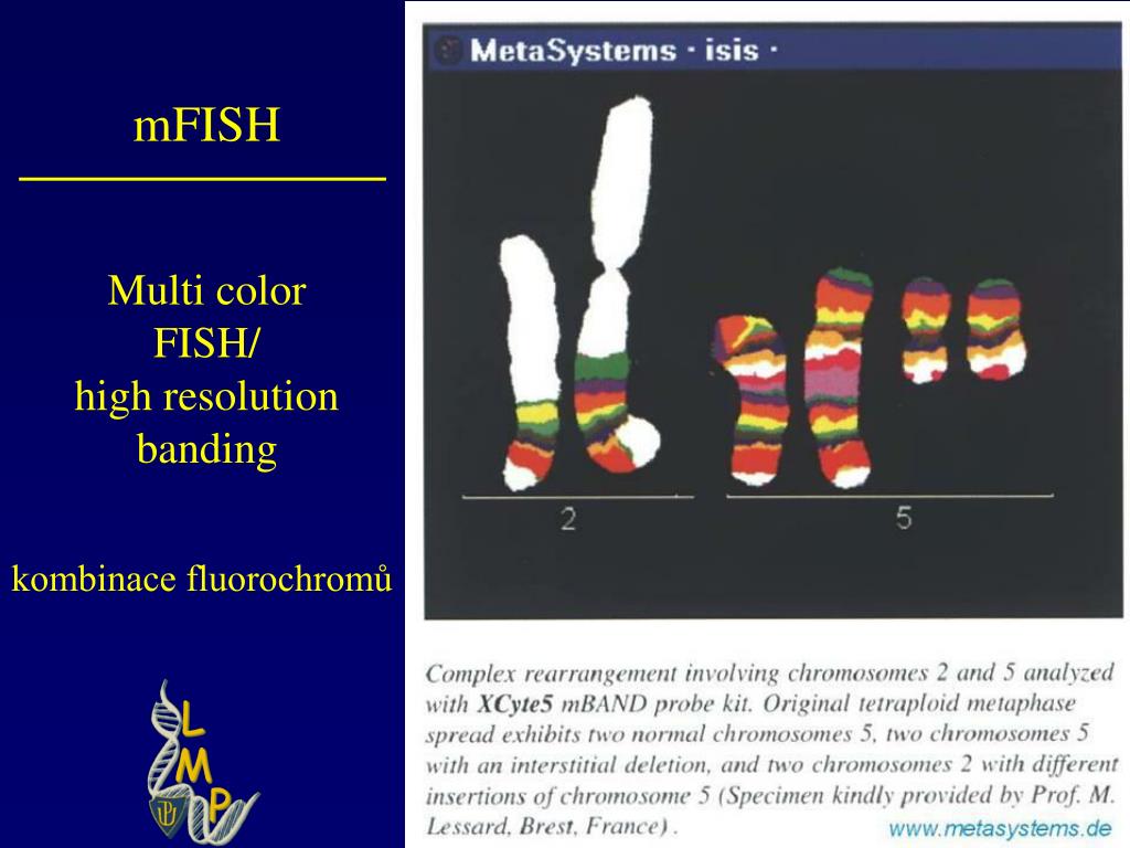 PPT - Metodická základna molekulární patologie PowerPoint Presentation ...