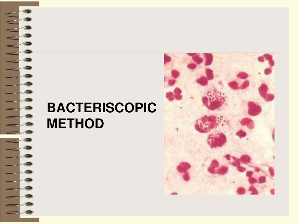 PPT - BACTERIOSCOPIC BACTERIOLOGICAL SEROLOGICAL BIOLOGICAL ALLERGIC ...