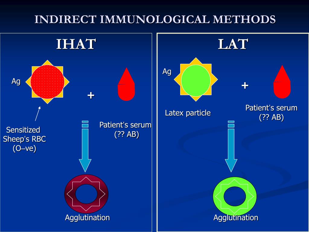 PPT - Laboratory Diagnosis of parasitic infections PowerPoint ...