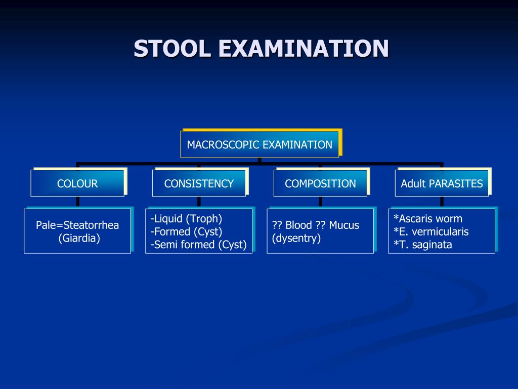 PPT - Laboratory Diagnosis of parasitic infections PowerPoint ...