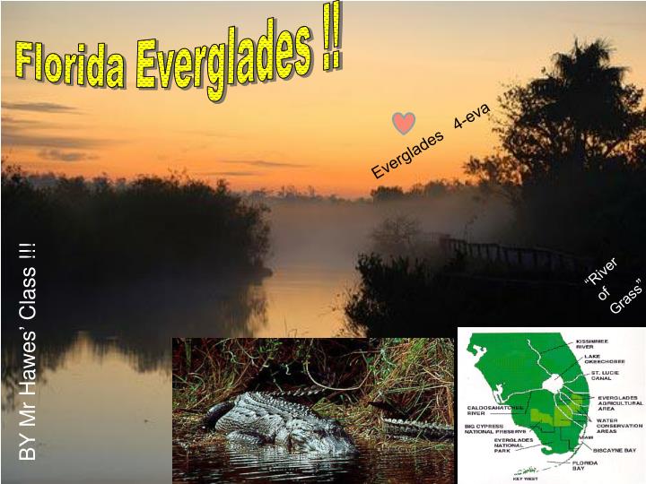 PPT - Florida Everglades !! PowerPoint Presentation, free download - ID ...