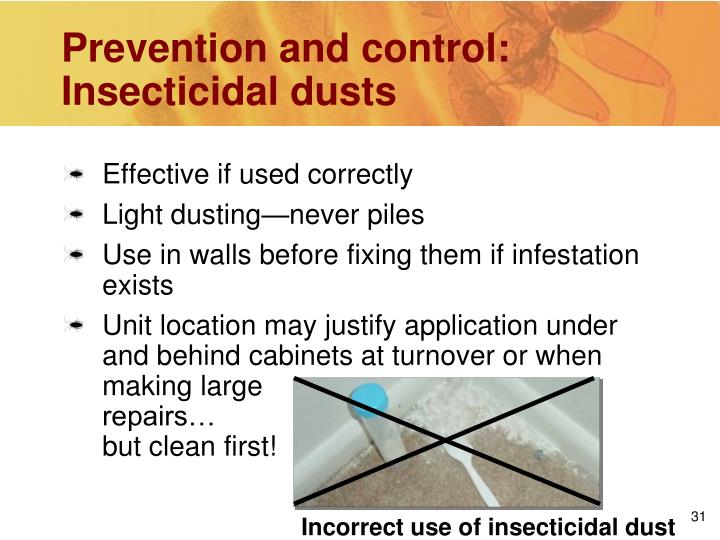 PPT - Cockroaches PowerPoint Presentation - ID:3496770