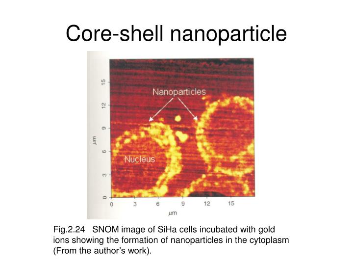 PPT - Core-shell nanoparticle PowerPoint Presentation, free download ...