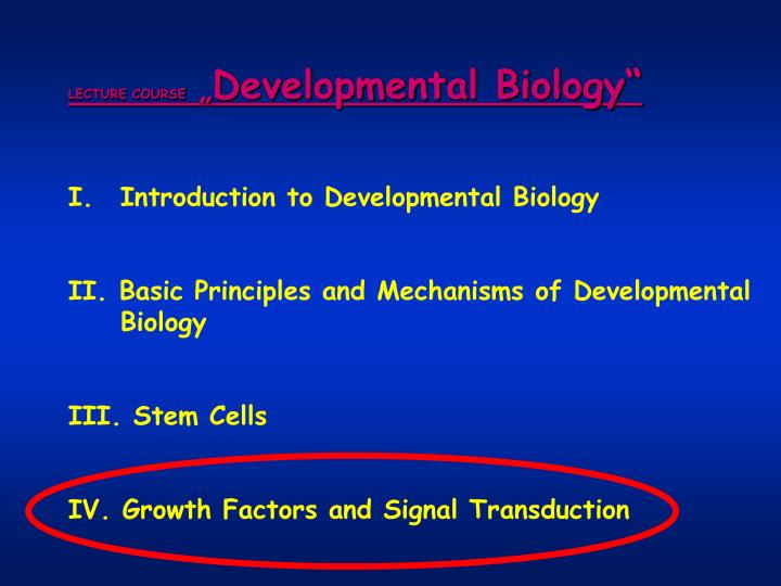 PPT - LECTURE COURSE „ Developmental Biology“ Introduction to ...