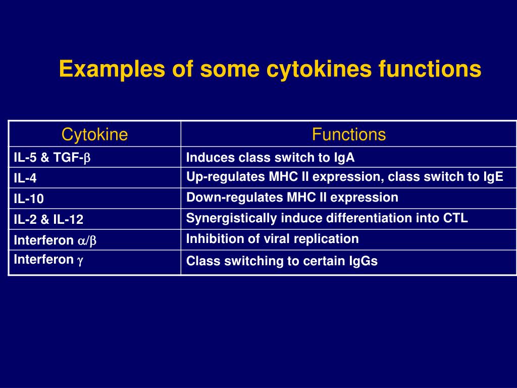 PPT - Cytokines PowerPoint Presentation, free download - ID:3497359 PPT - Cytokines PowerPoint Presentation, free download - ID:3497359