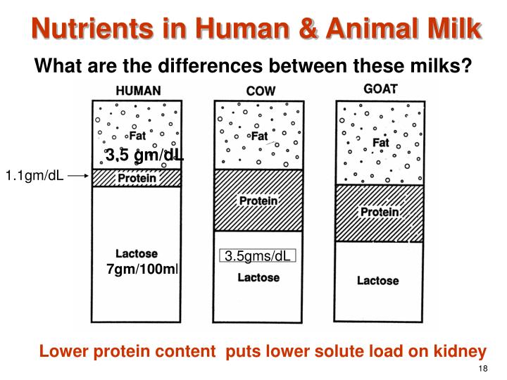 PPT - Infant and Young Child Feeding PowerPoint Presentation - ID:3497637