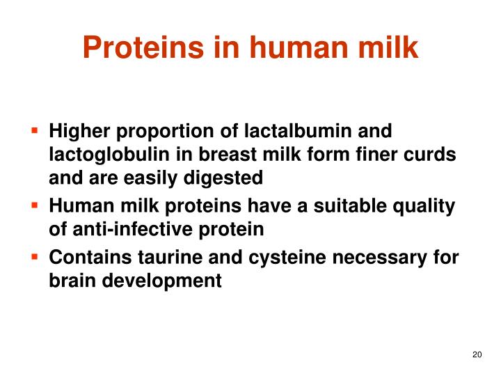 PPT - Infant and Young Child Feeding PowerPoint Presentation - ID:3497637