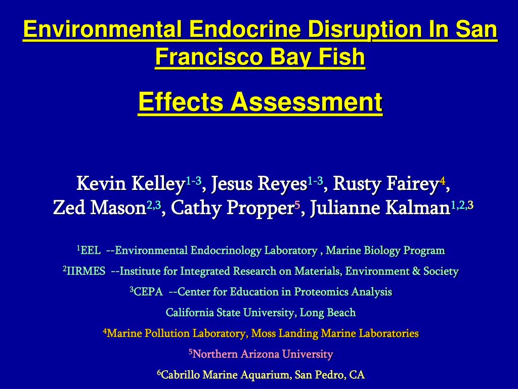 PPT - Environmental Endocrine Disruption In San Francisco Bay Fish ...