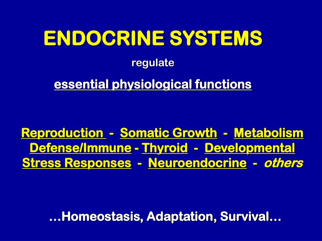 PPT - Environmental Endocrine Disruption In San Francisco Bay Fish ...