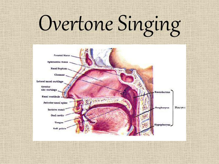 PPT - Overtone Singing PowerPoint Presentation, free download - ID:3497907