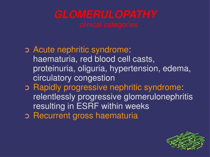 PPT - GLOMERULOPATHY clinical categories PowerPoint Presentation, free ...