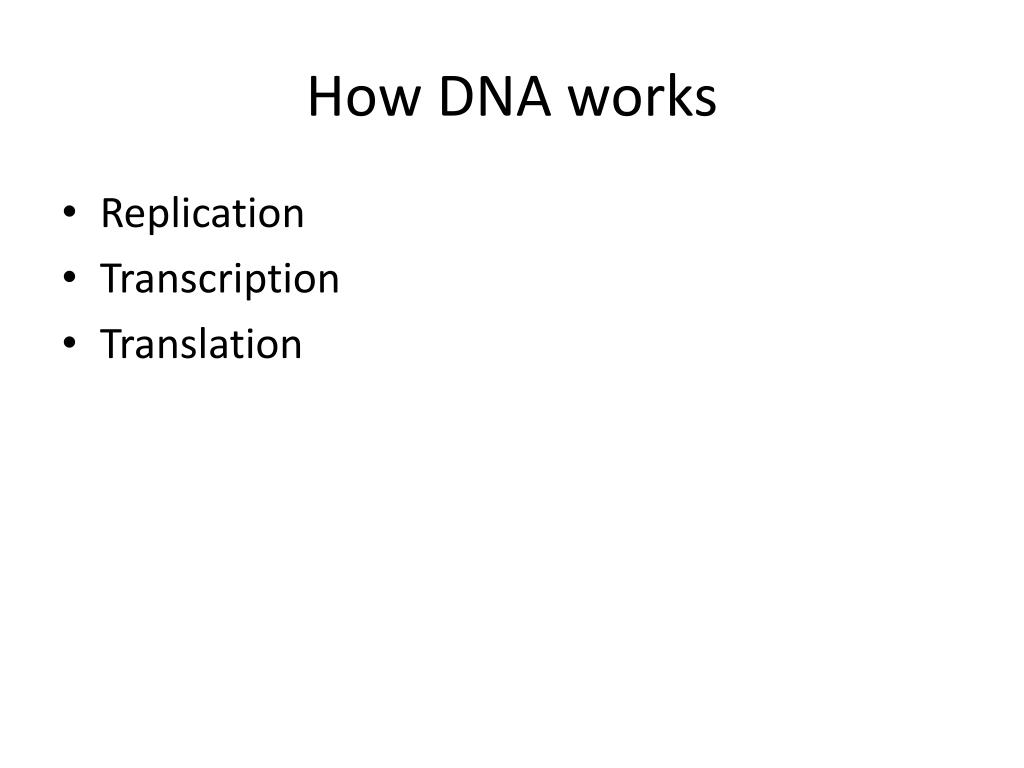 PPT - The human genome of is found where in the human body? PowerPoint ...