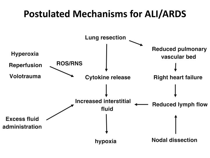 PPT - Pneumonectomy and ARDS PowerPoint Presentation - ID:3498330
