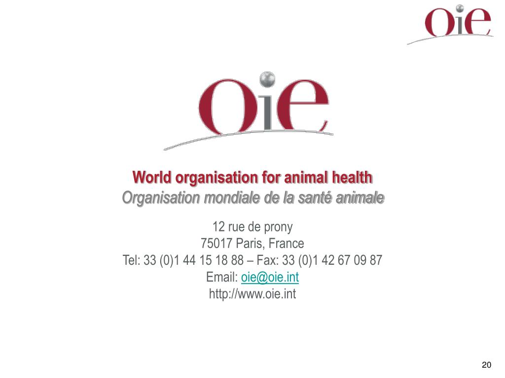 PPT - WORLD ORGANISATION FOR ANIMAL HEALTH (OIE) PowerPoint ...