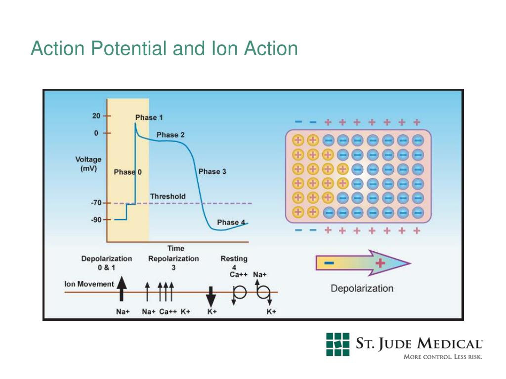 PPT - The Electrical Management of Cardiac Rhythm Disorders Tachycardia ...