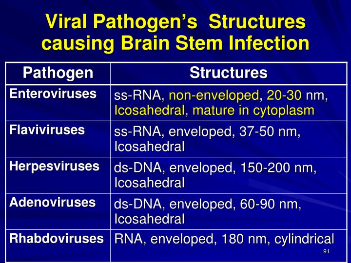 PPT - Enterovirus VS HFMD PowerPoint Presentation - ID:3502067