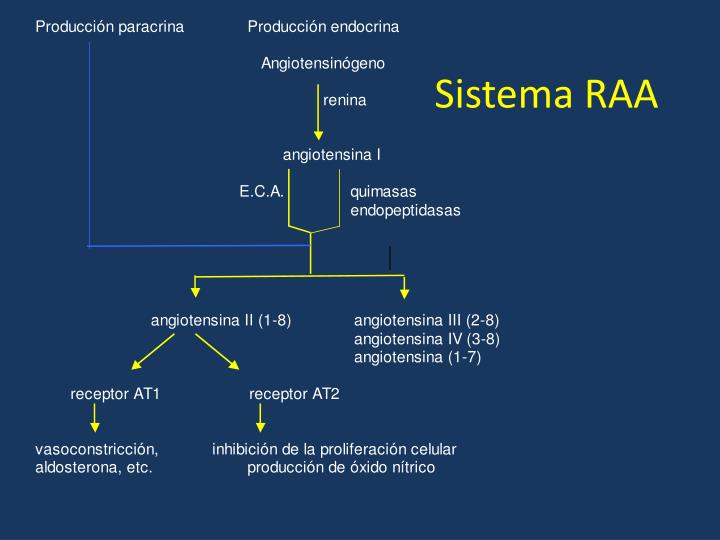 PPT - Fármacos antihipertensivos PowerPoint Presentation - ID:3502660