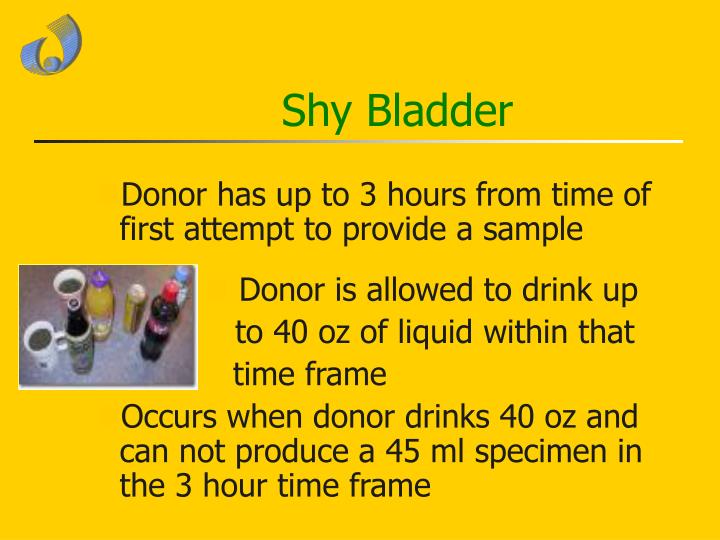 PPT - BWC Drug Free Workplace Drug and Alcohol Training Supervisor ...