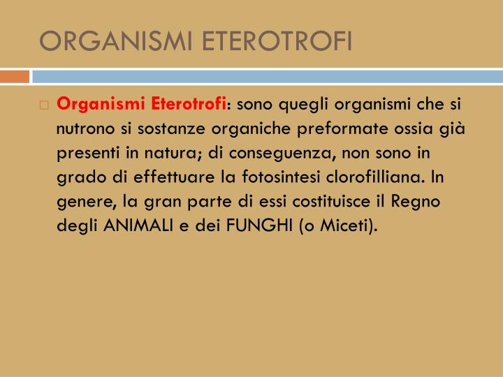 PPT - I Regni dei viventi PowerPoint Presentation - ID:3503682