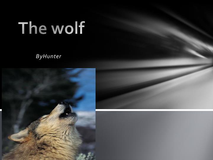 PPT - The wolf PowerPoint Presentation, free download - ID:3504521