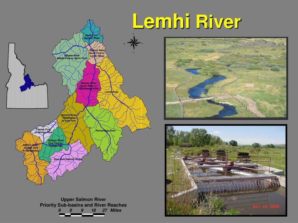 PPT - Chinook Salmon Conservation: Lemhi River Case Study PowerPoint ...