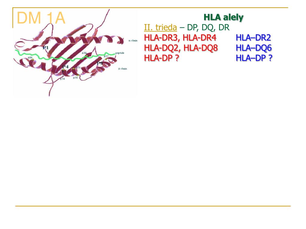 PPT - Genetická determinácia diabetes mellitus 1. typu PowerPoint ...