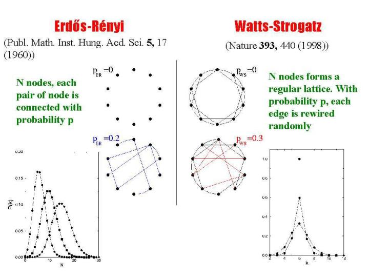 PPT - Exp. vs. Scale-Free PowerPoint Presentation, free download - ID ...