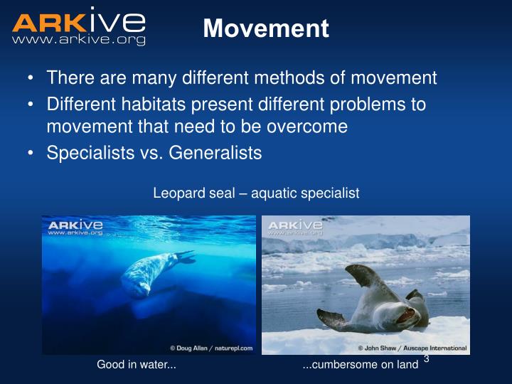 PPT - Adaptations for Movement PowerPoint Presentation - ID:3506777