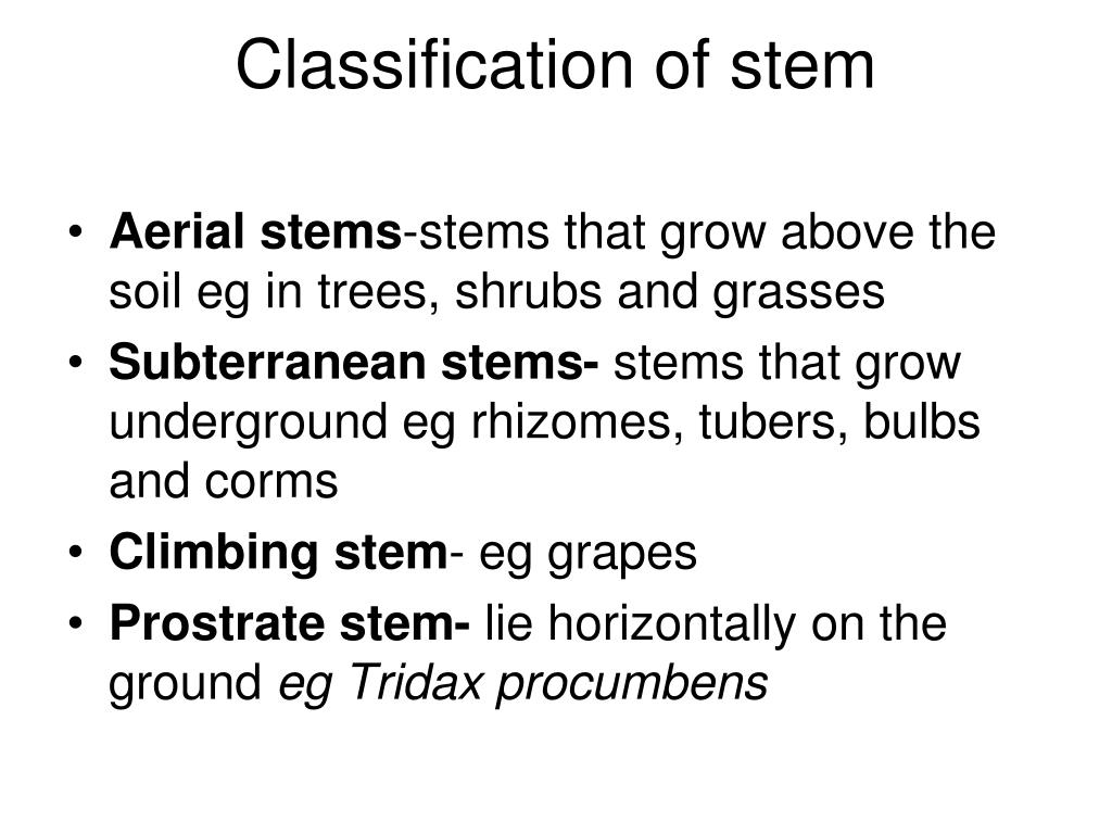 PPT - PLANT BIOLOGY By Julius V. L PowerPoint Presentation, free ...