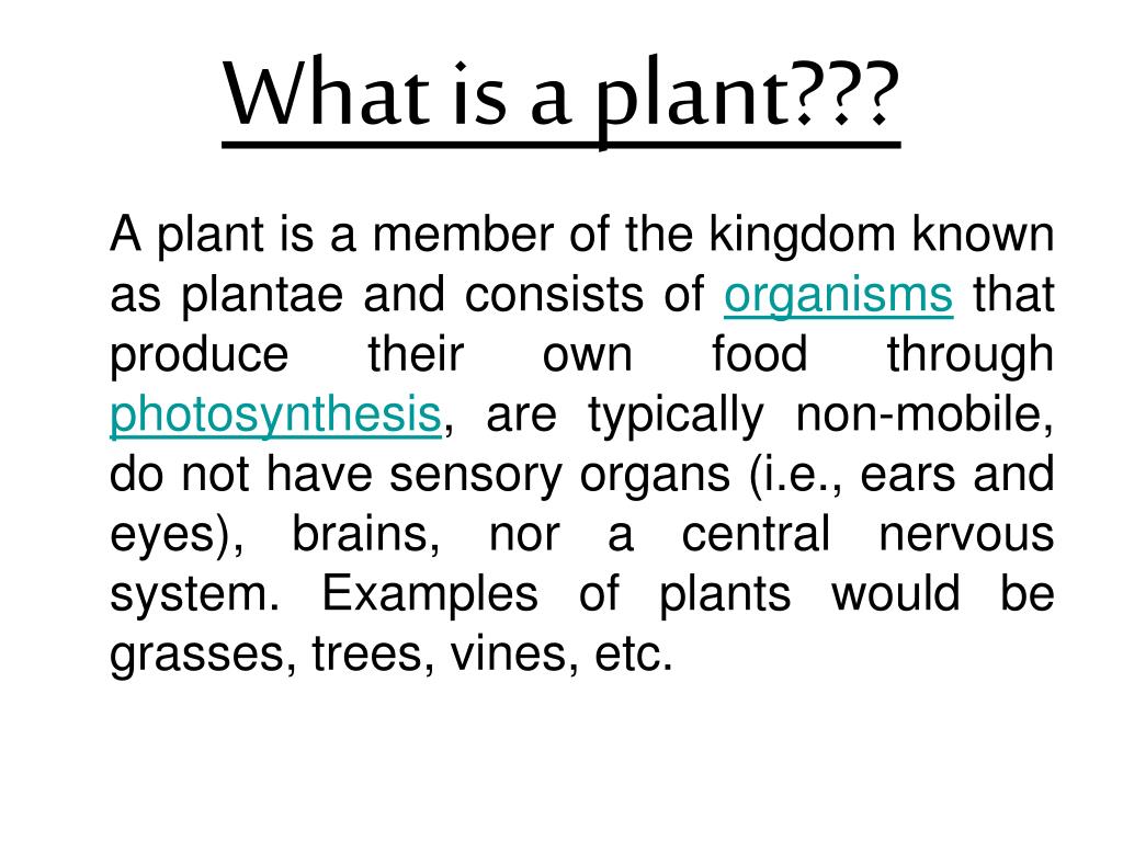 PPT - PLANT BIOLOGY By Julius V. L PowerPoint Presentation, free ...