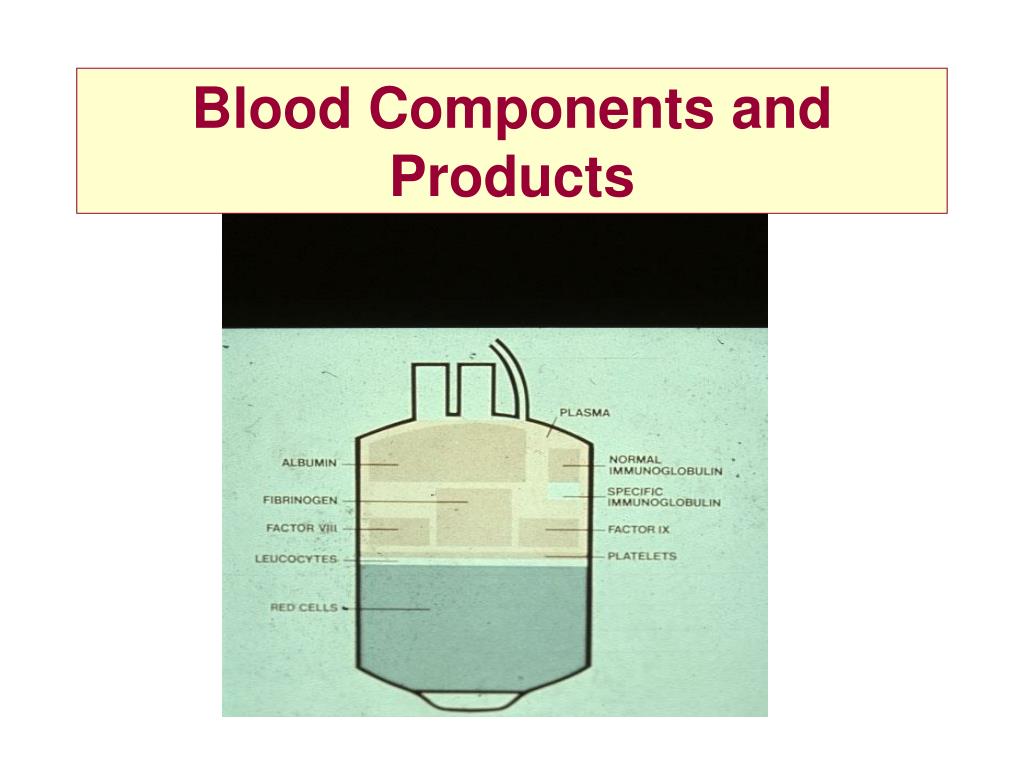 PPT - Blood Transfusion Dr Emer Lawlor, IBTS 3rd February 2003 ...