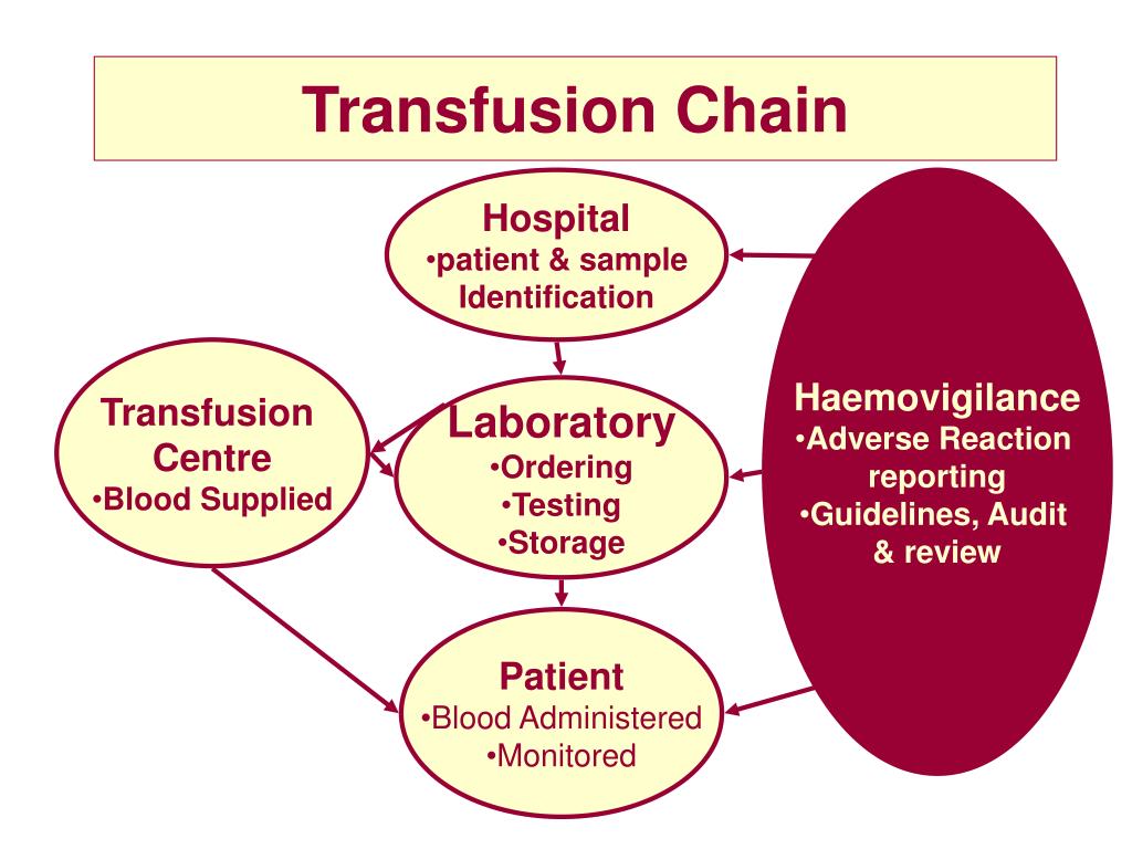 PPT - Blood Transfusion Dr Emer Lawlor, IBTS 3rd February 2003 ...