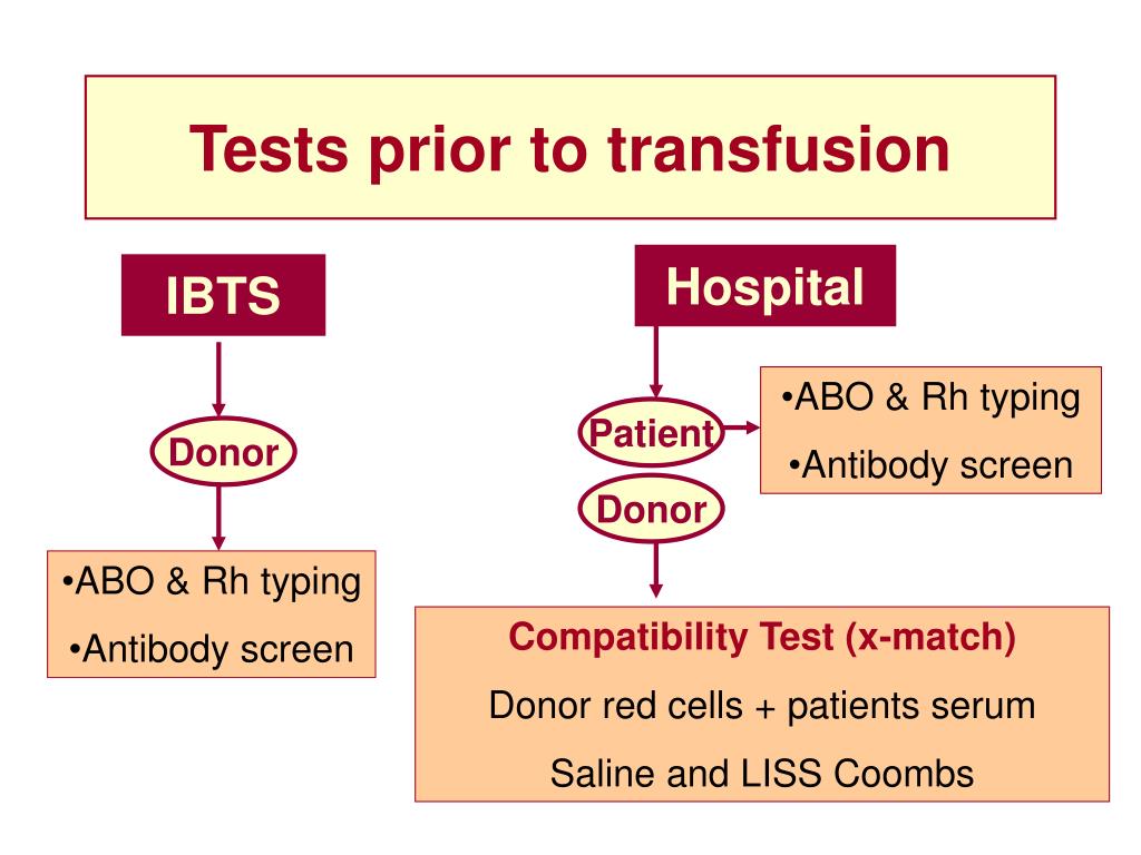 PPT - Blood Transfusion Dr Emer Lawlor, IBTS 3rd February 2003 ...