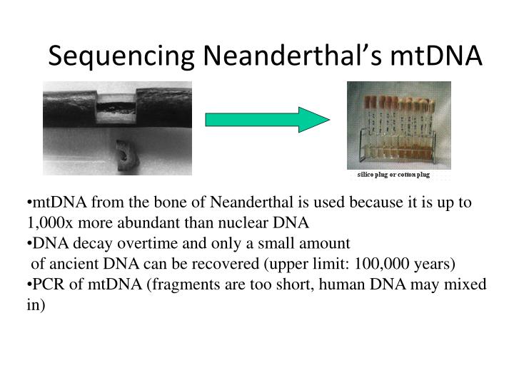 PPT - Sequence Alignment and Phylogenetic Analysis PowerPoint ...