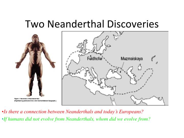 PPT - Sequence Alignment and Phylogenetic Analysis PowerPoint ...
