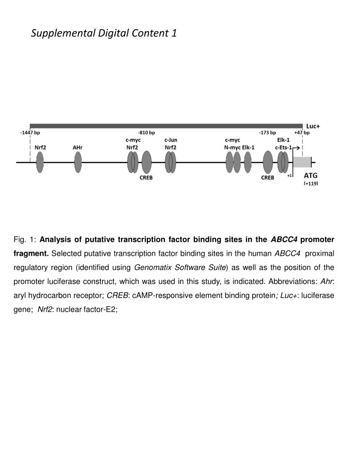 PPT - Supplemental Digital Content 1 PowerPoint Presentation, free ...