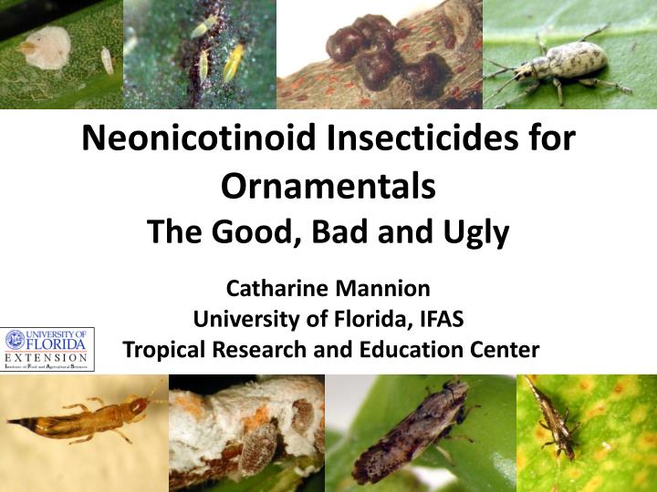 PPT - Neonicotinoid Insecticides for Ornamentals The Good, Bad and Ugly ...