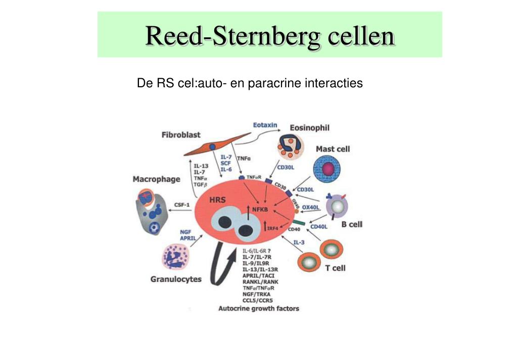 PPT - Hodgkin lymfoom Blok 4 oncologie, oktober 2011 PowerPoint ...