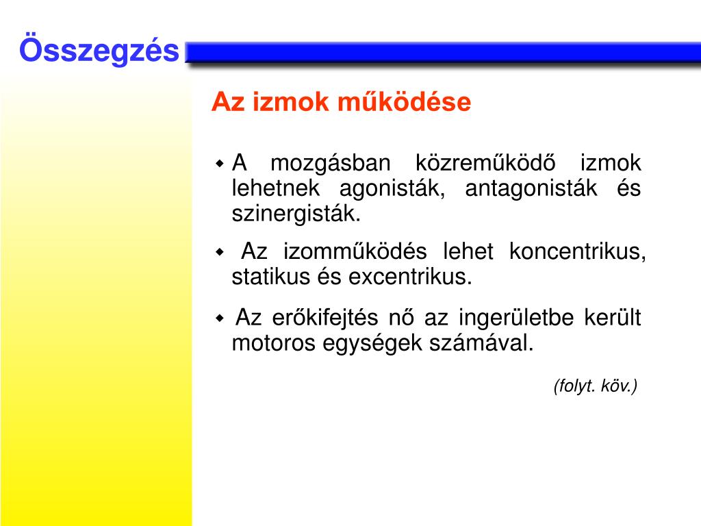 PPT - Az izomműködés élettana PowerPoint Presentation, free download ...