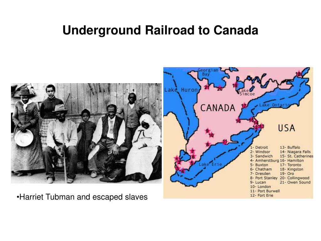PPT - The Canadian Historical Experience Cecilia Danysk, Department of ...