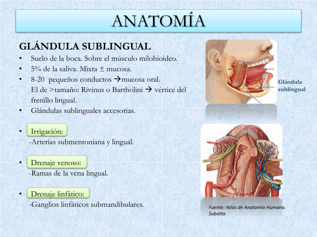 PPT - Patología de las glándulas salivales hecha fácil PowerPoint ...